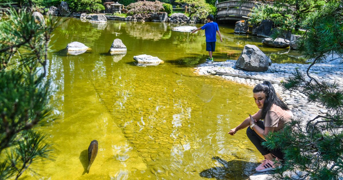 Spokane unveils plan to continue Spokane Parks water-saving projects