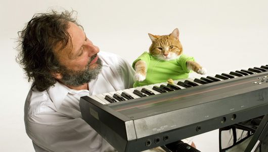 Keyboard Cat, an internet sensation and local celebrity, dies