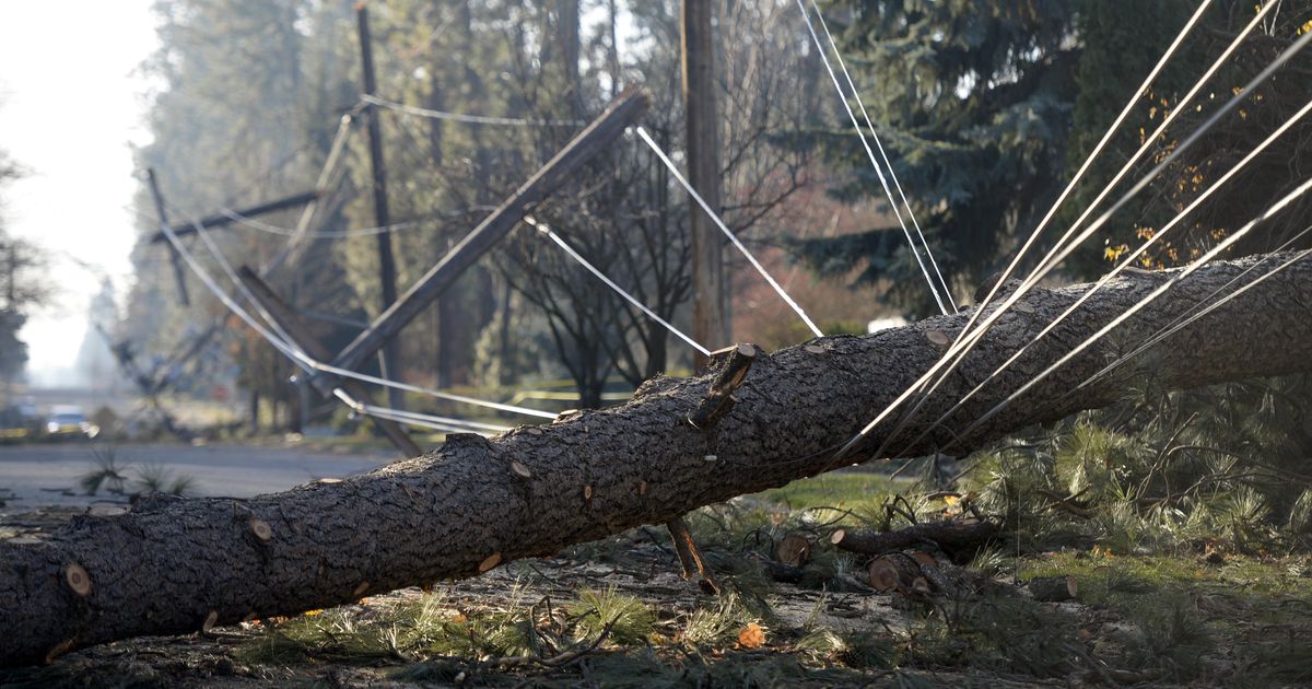 Avista looks to cover windstorm costs with higher rates in 2017 | The ...