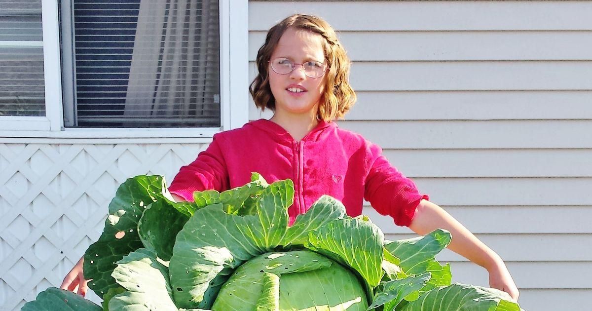 Third-grader wins scholarship in cabbage growing contest