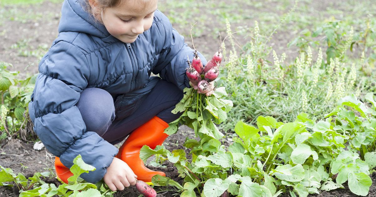 In the Garden: Help children cultivate interest in gardening