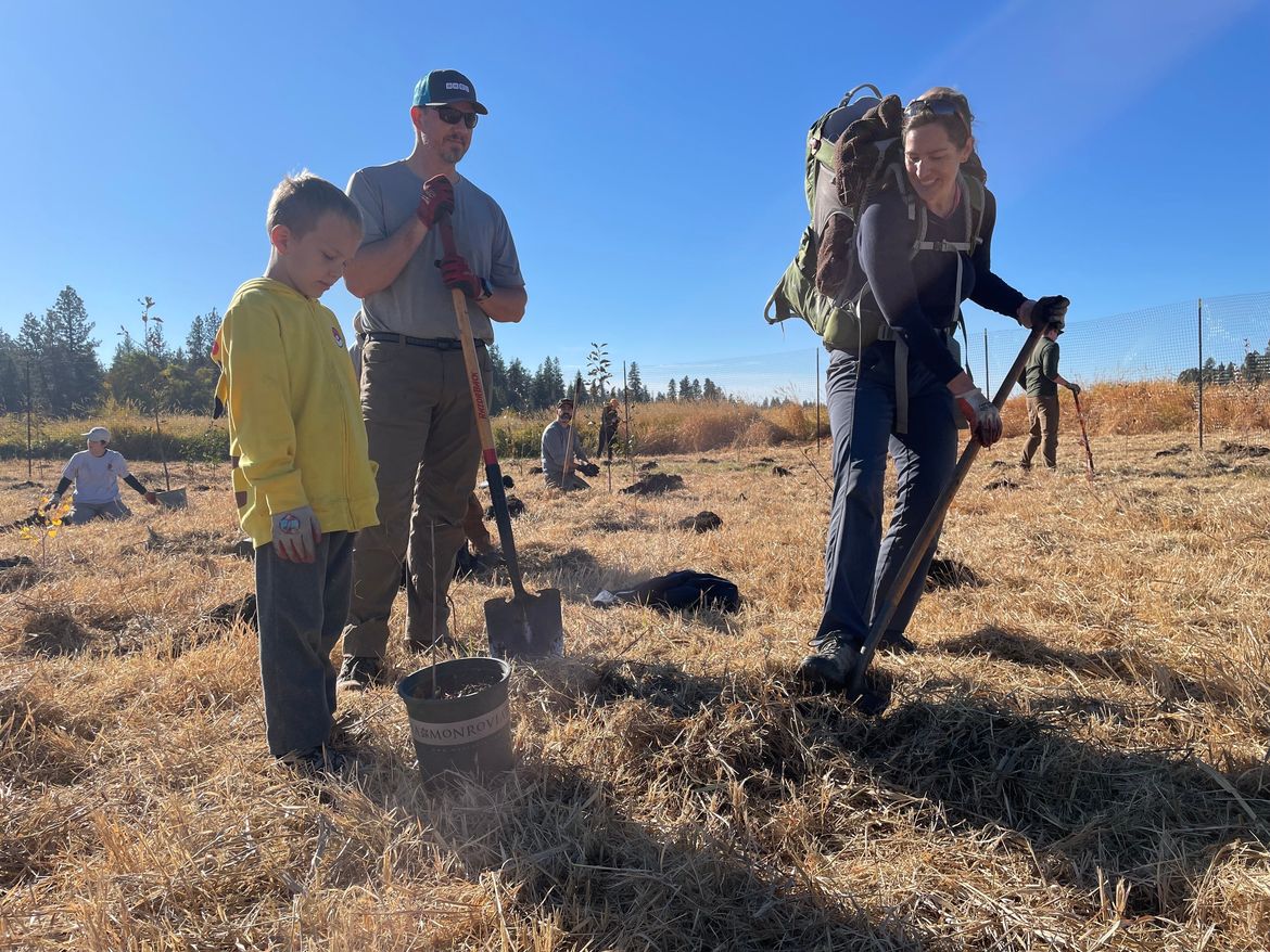 Volunteers plant over 1,000 trees to improve ecosystem at Spokane ...