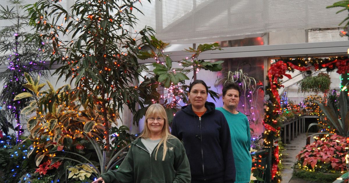 Gardening: Seasonal lights grace Manito’s Gaiser Conservatory | The ...