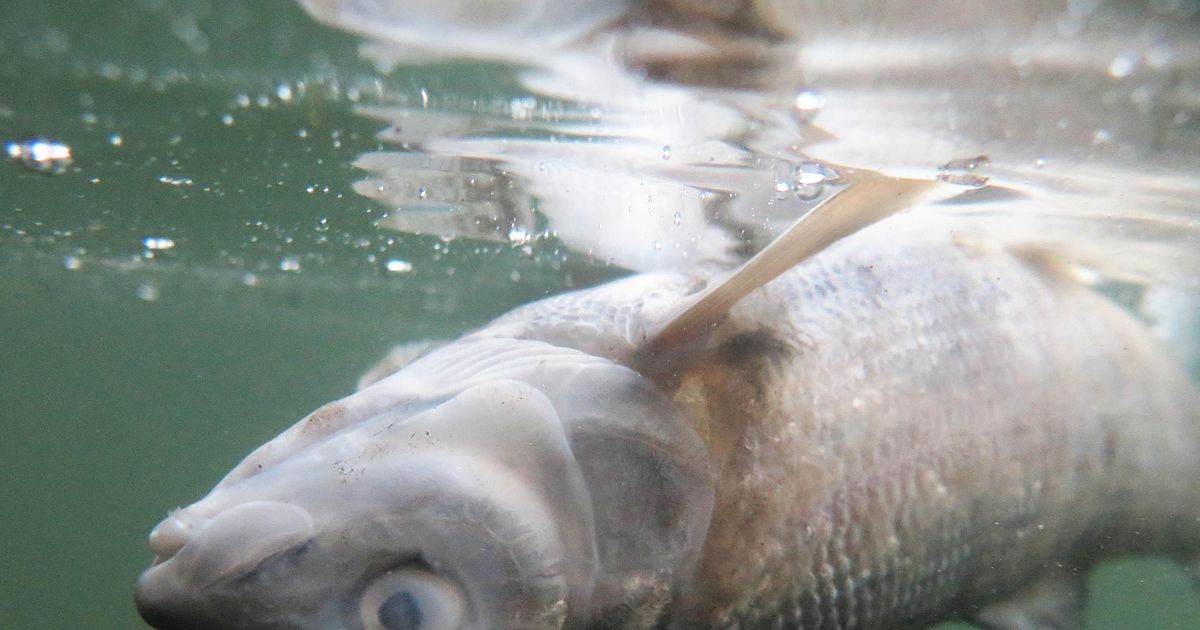 Yellowstone River closure could last for months