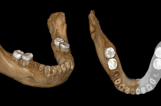 Chinese fossil sheds light on mysterious Neanderthal kin