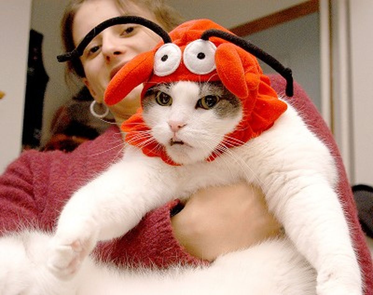 May Day around the world - May 1, 2007 | The Spokesman-Review