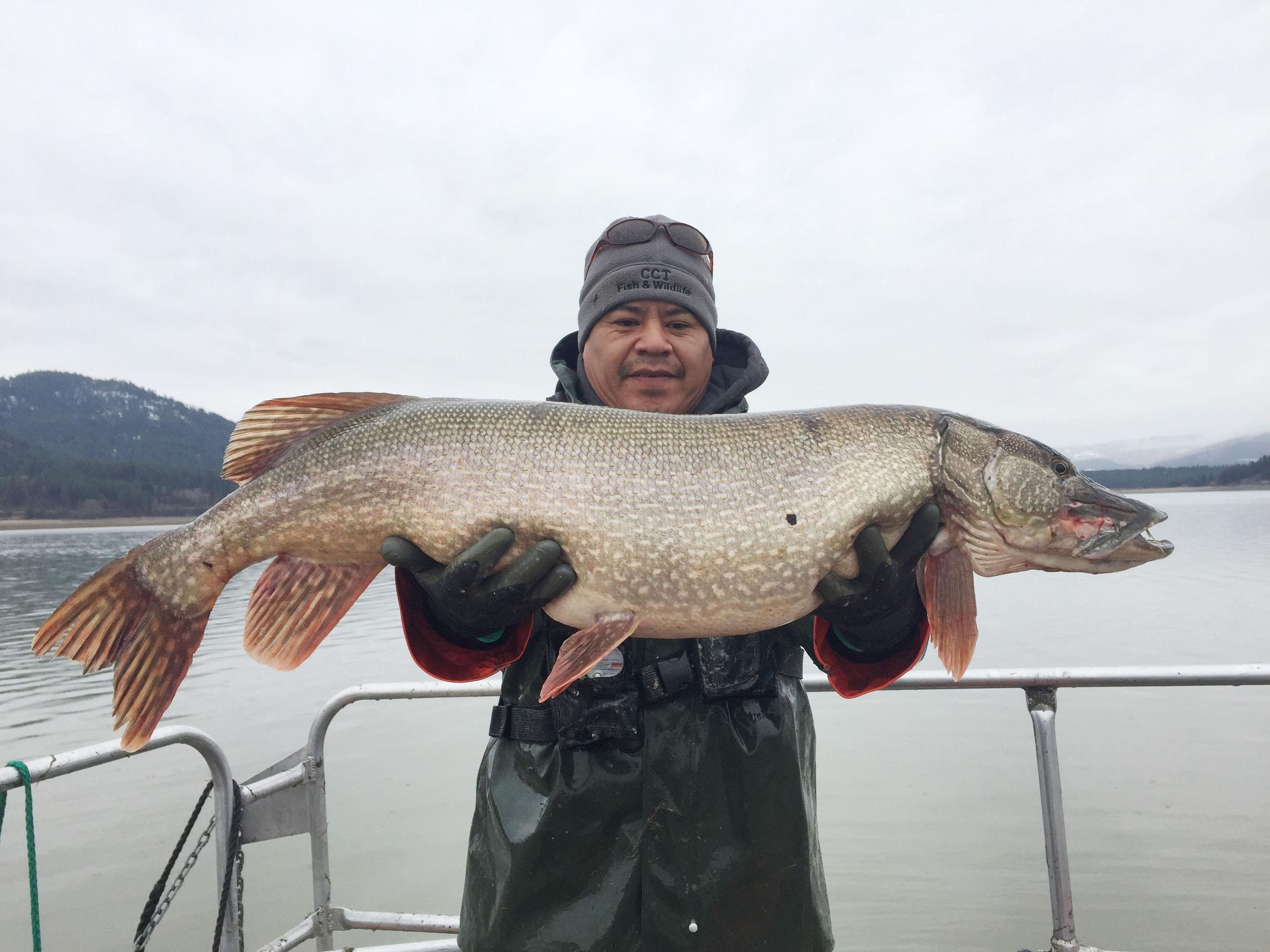 Nearly 1,100 northern pike heads collected, anglers earn $10,000