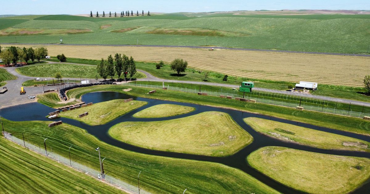Webb's Slough racecourse - June 11, 2024 | The Spokesman-Review