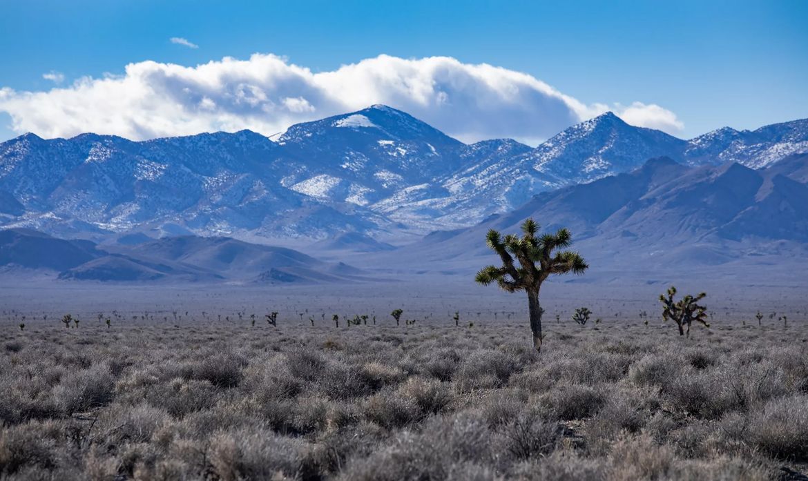 Death Valley just recorded the hottest month ever observed on the planet