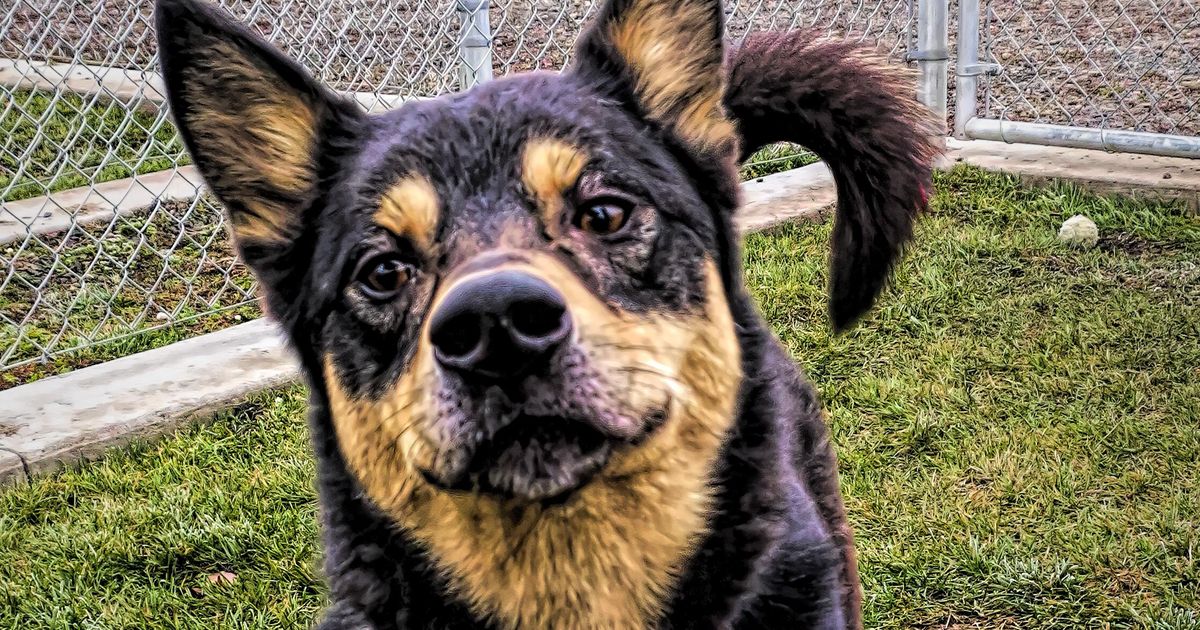 Feature creature: Phil has good manners