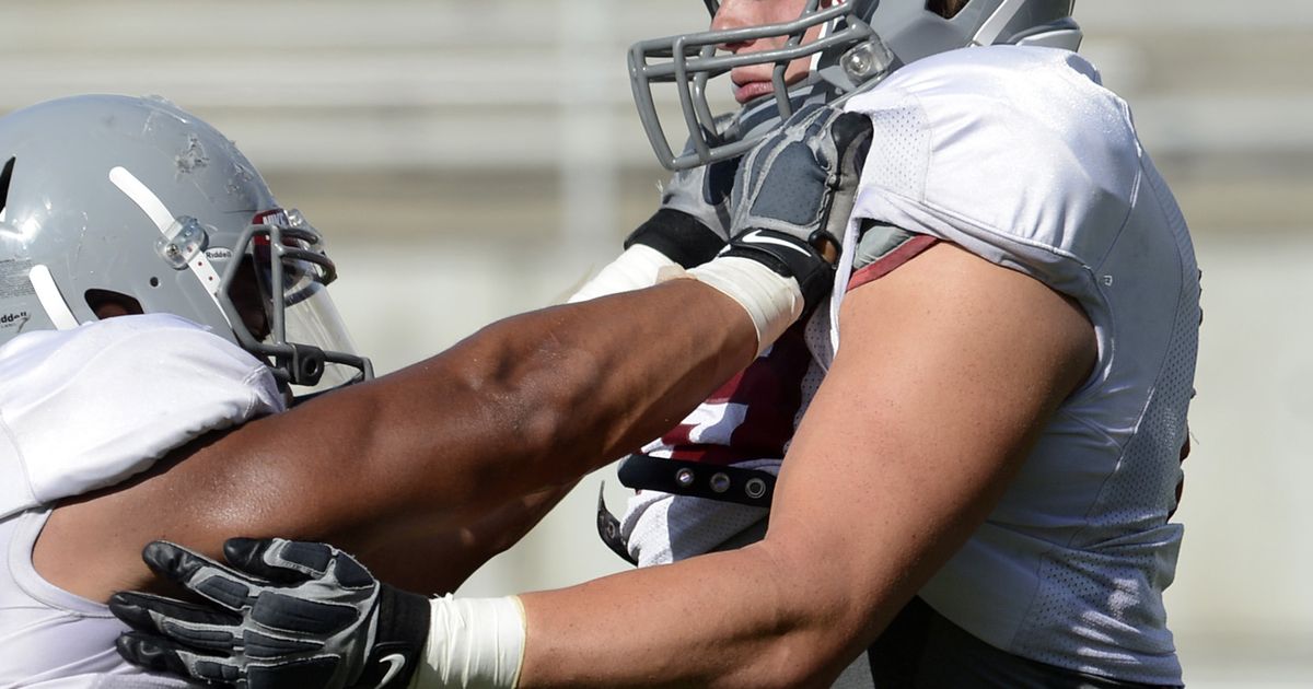 Cougar defense built around linebackers | The Spokesman-Review