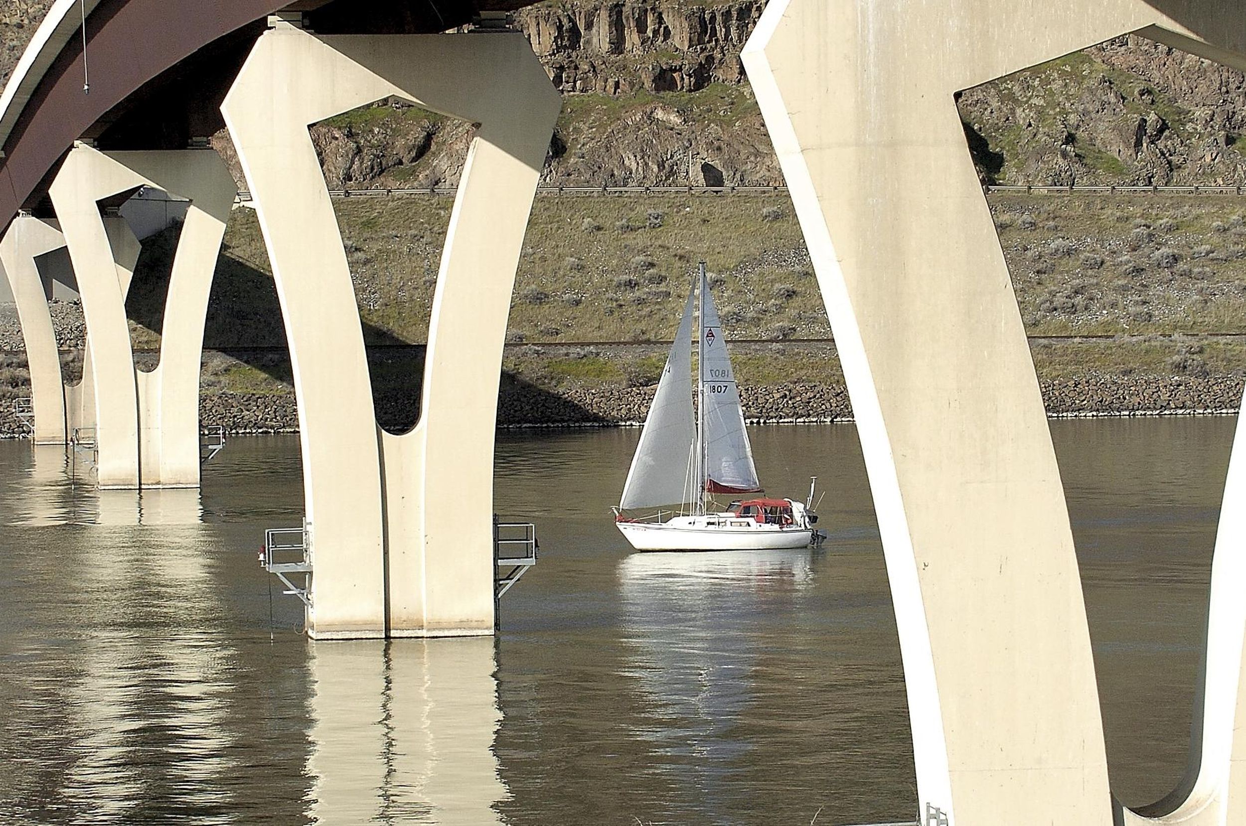 Lewiston floats dam options