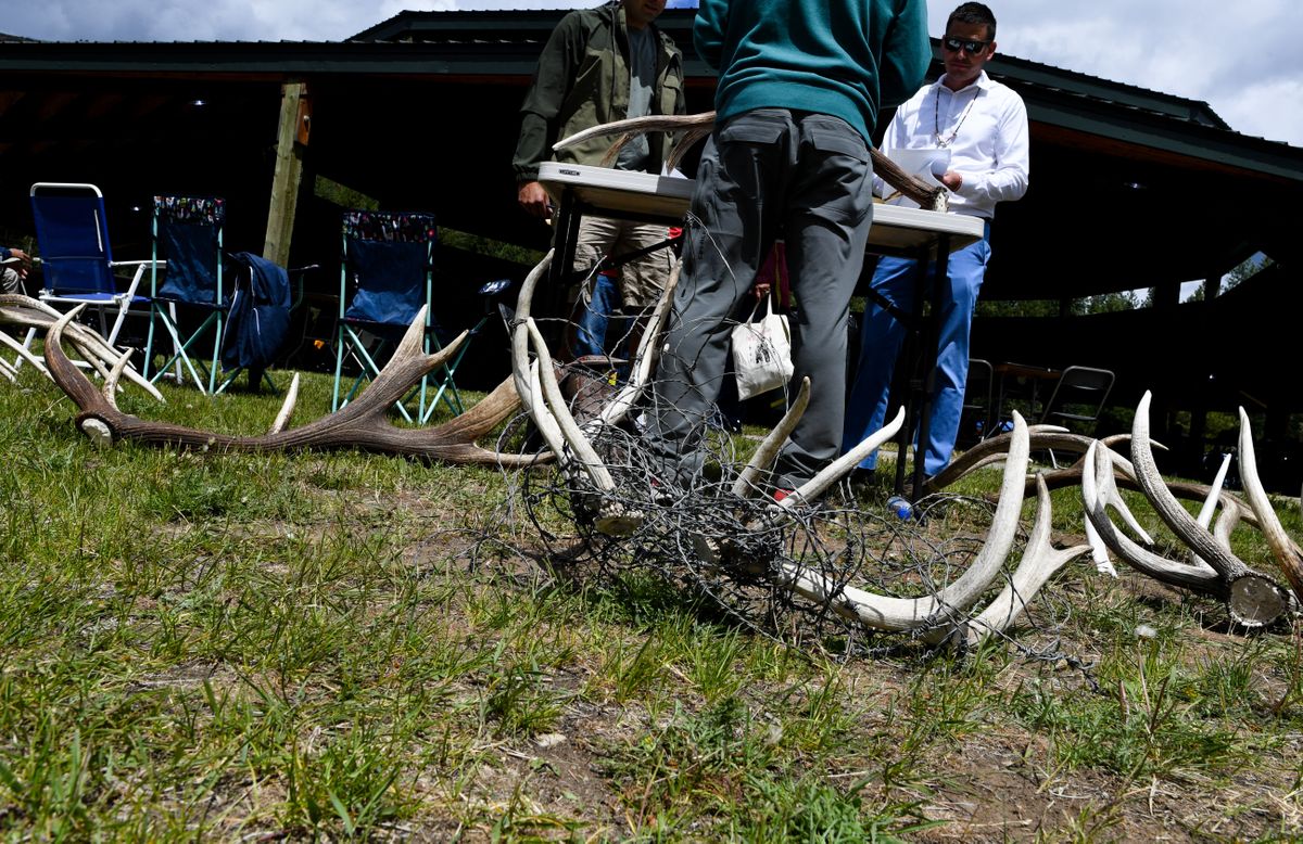 Colville Tribe celebrates Sinixt ruling - May 28, 2021 | The Spokesman ...