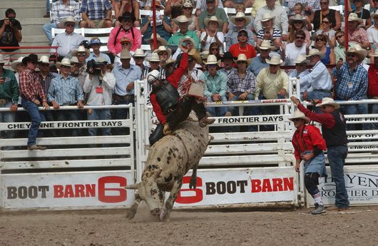 Lake Roosevelt cowboy Proctor is most comfortable atop a two-ton bull ...