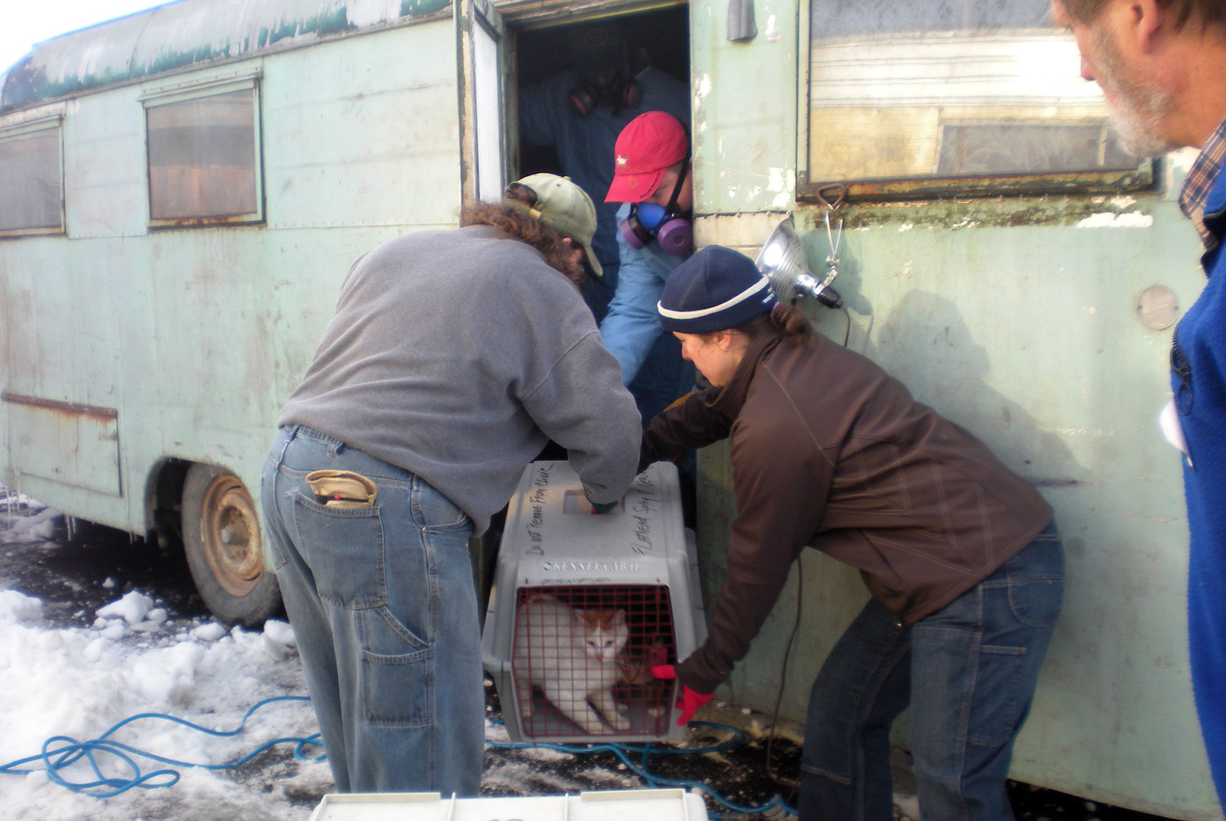 Cat-hoarding couple charged in new case