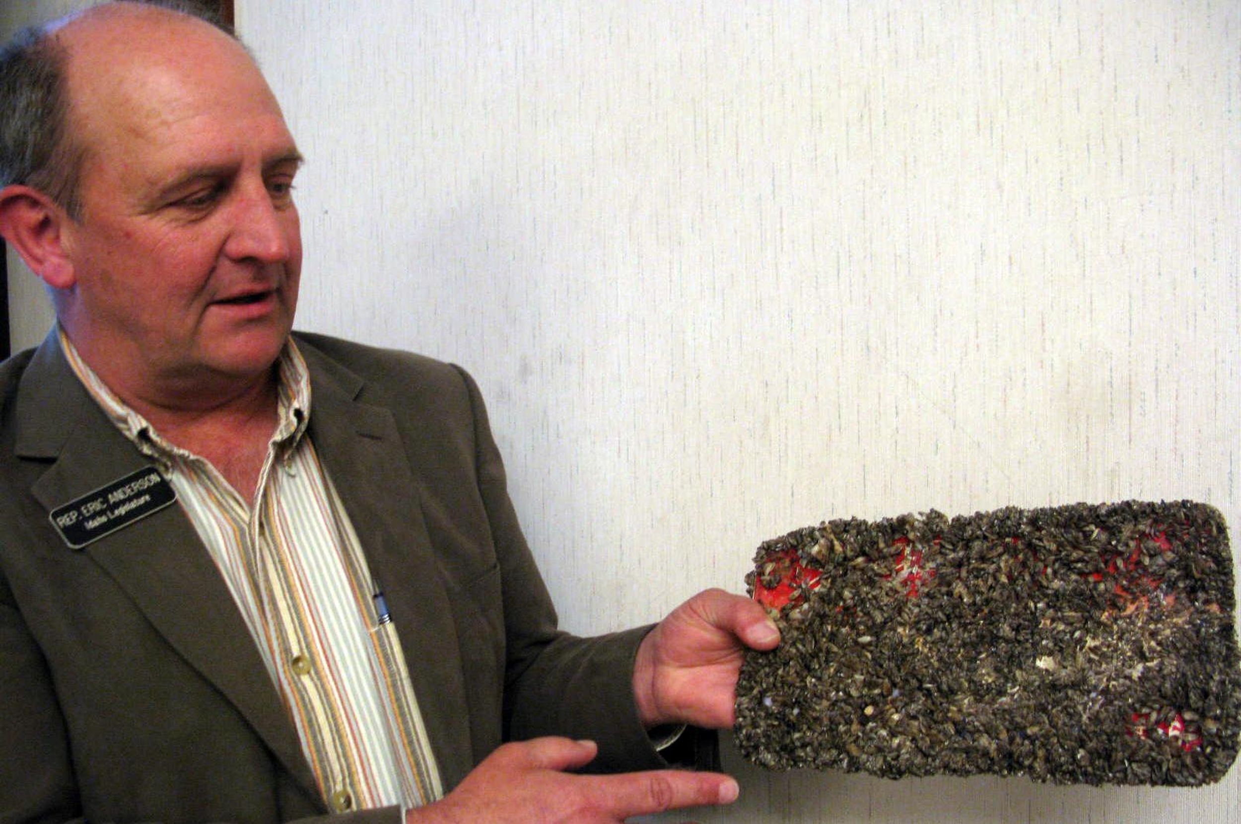 Invasive mussels problem prompts emergency declaration
