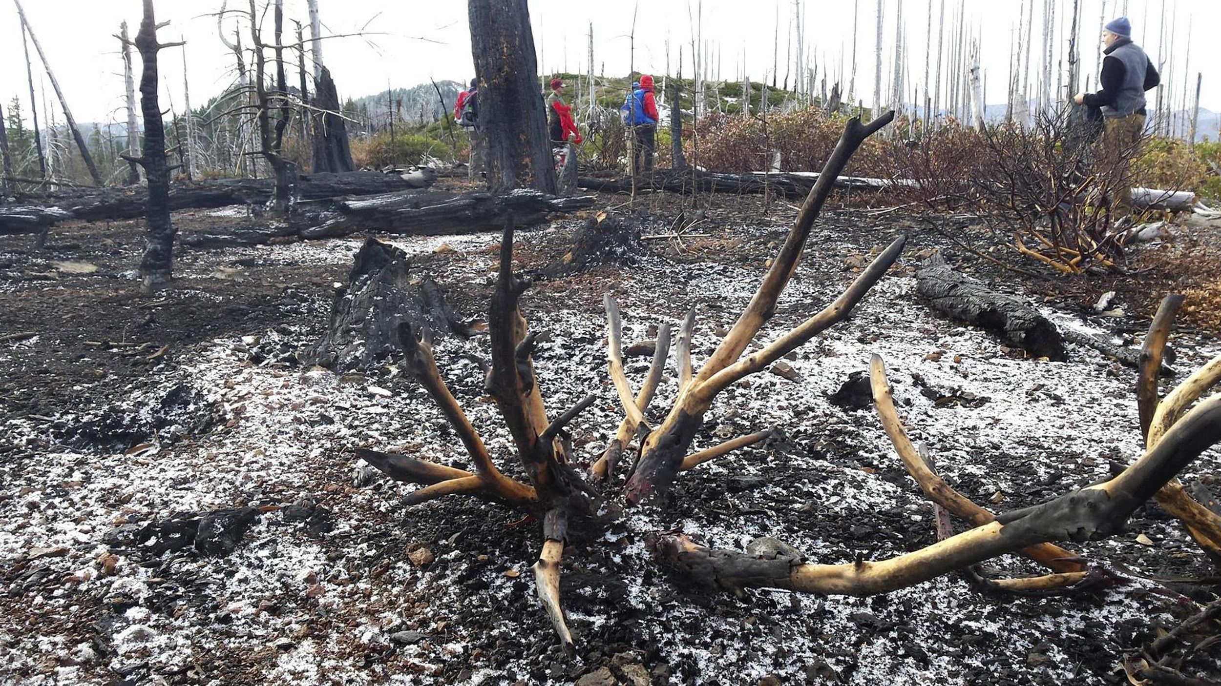 Trail advocates assess damage from massive Oregon wildfire