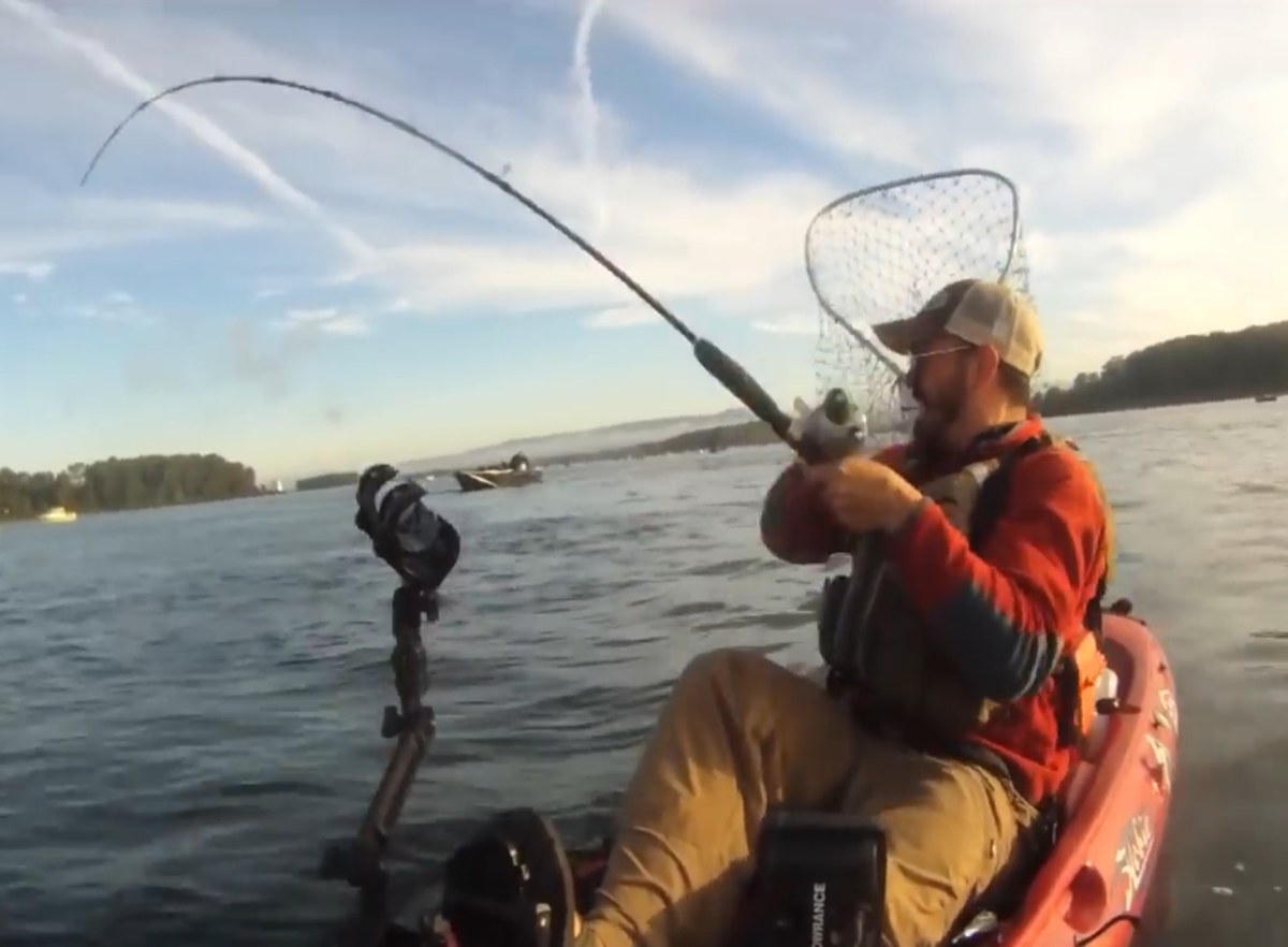 Video: Kayak angler goes 1-on-1 with 29-pound king salmon | The ...