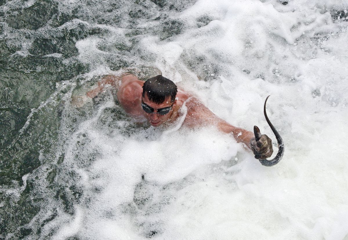 Last of the Lamprey - Aug. 2, 2011 | The Spokesman-Review