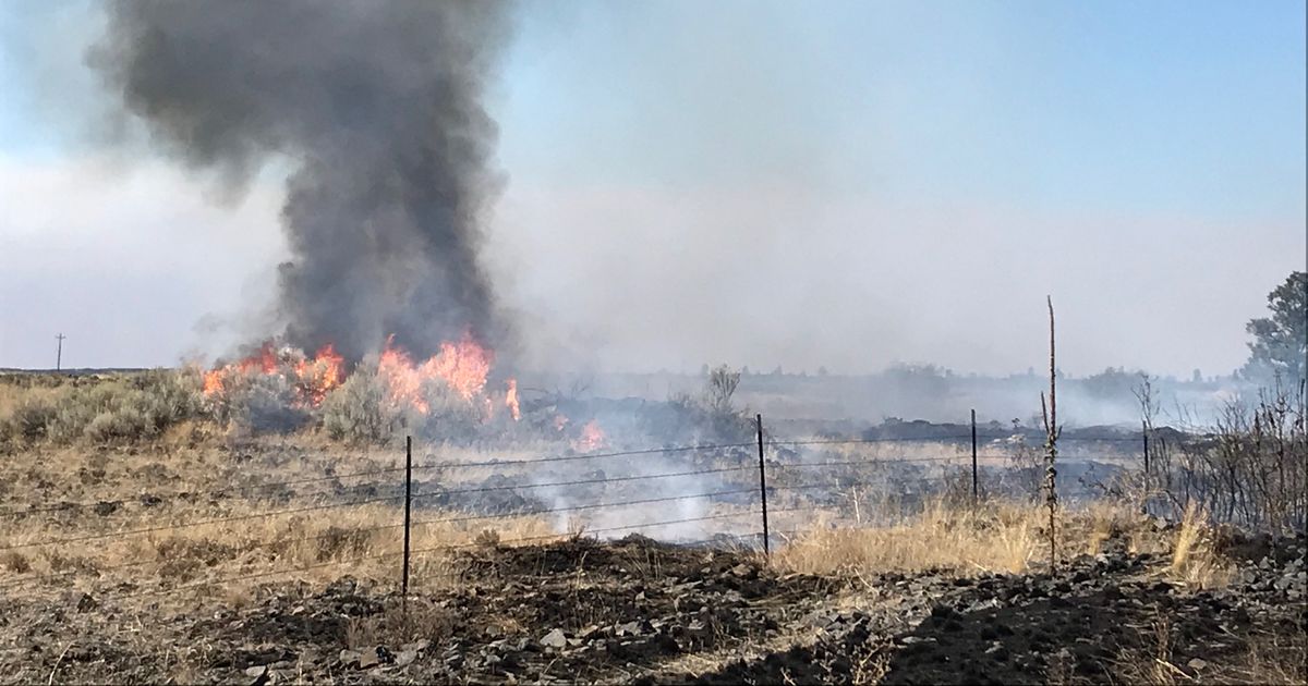 Whitney Fire grows to 130,000 acres leaving devastation behind
