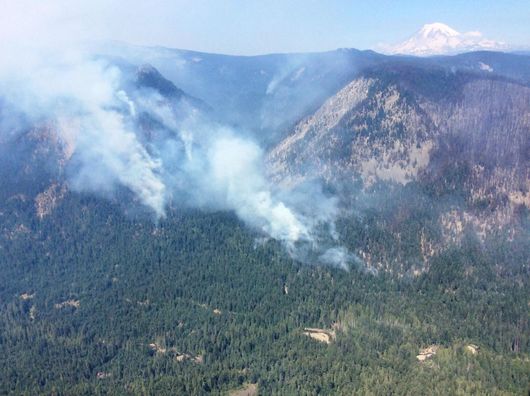 Caught in the crossfire: Hunters fired near Aussie firefighters ...