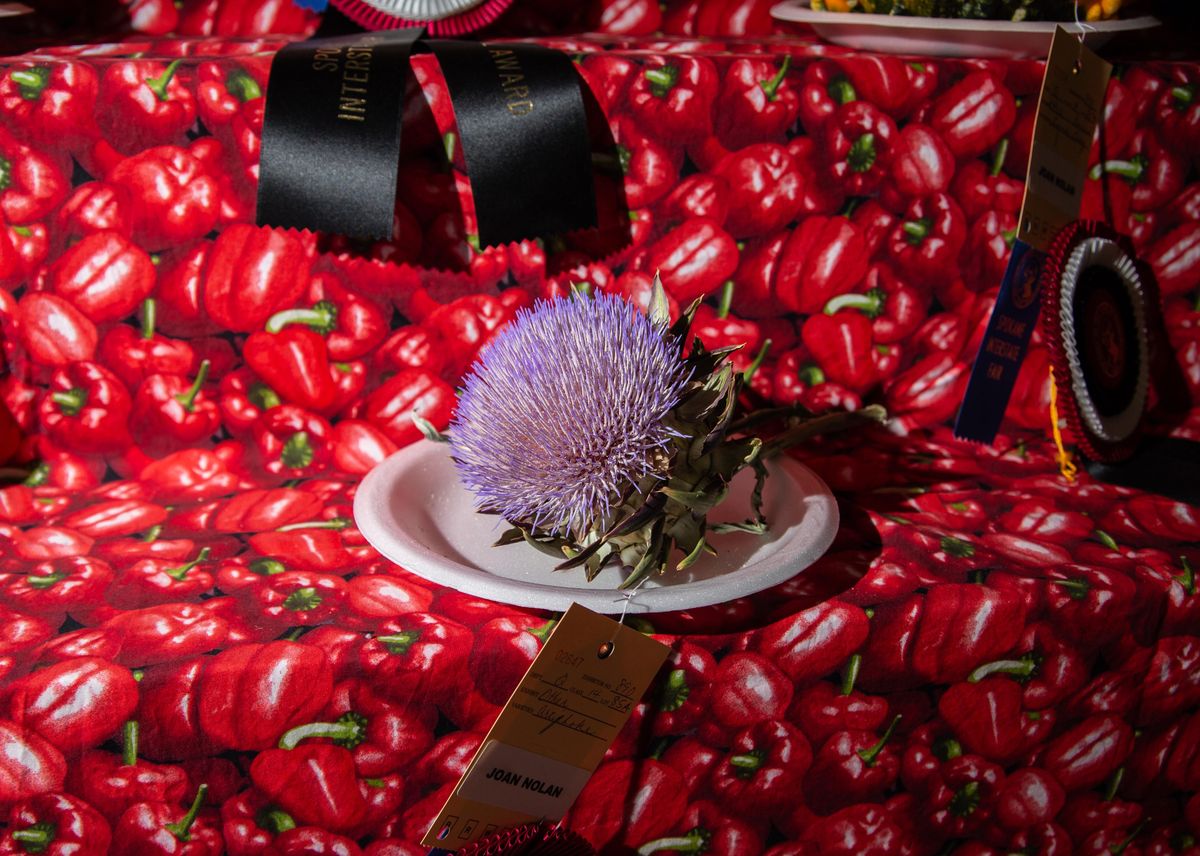 Judging food items at Spokane County Interstate Fair - Sept. 12, 2018 ...