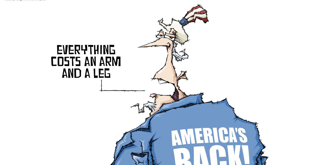 Tim Campbell cartoon