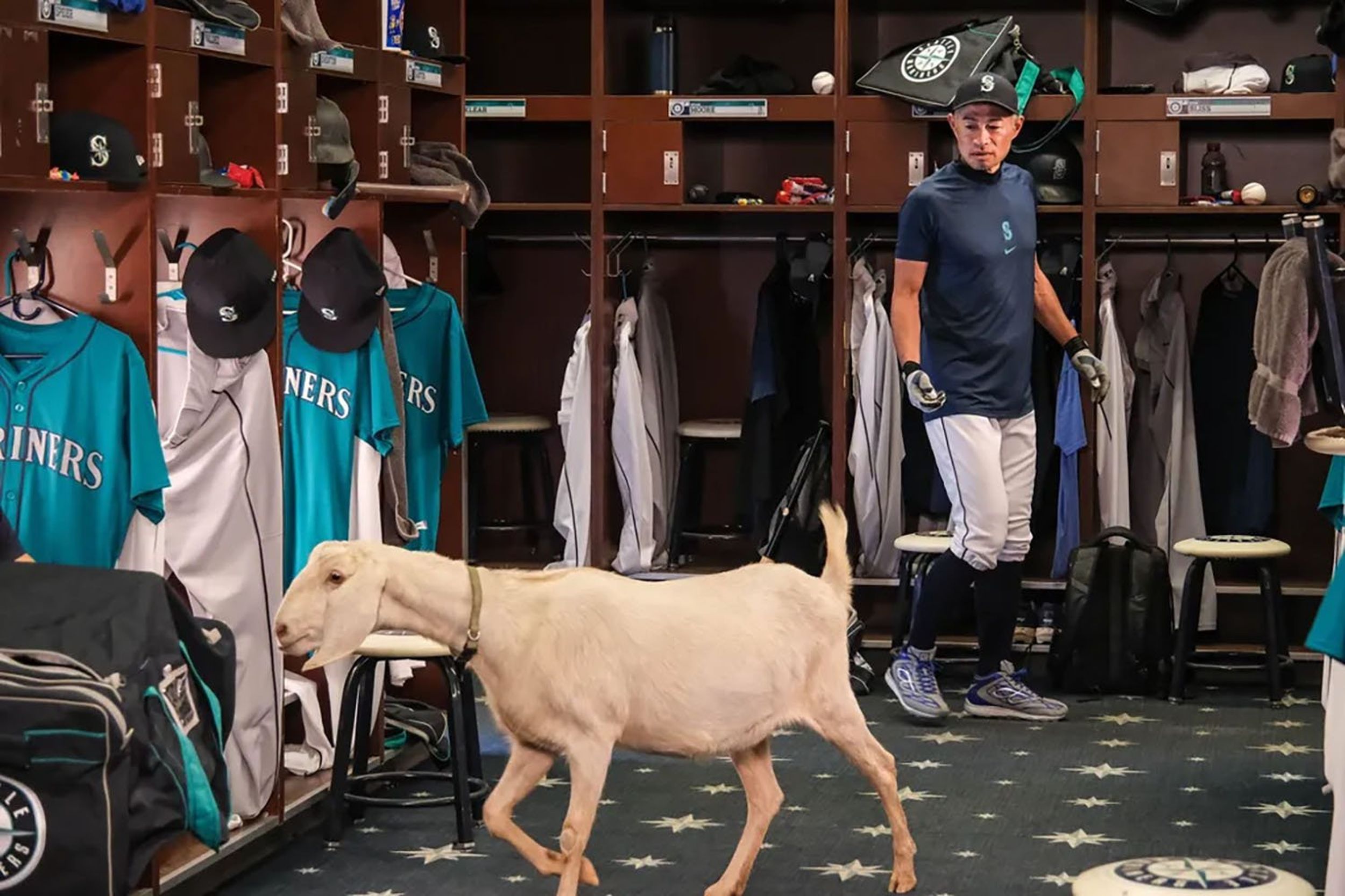 Behind the scenes of Mariners' messiest commercial, involving Ichiro ...