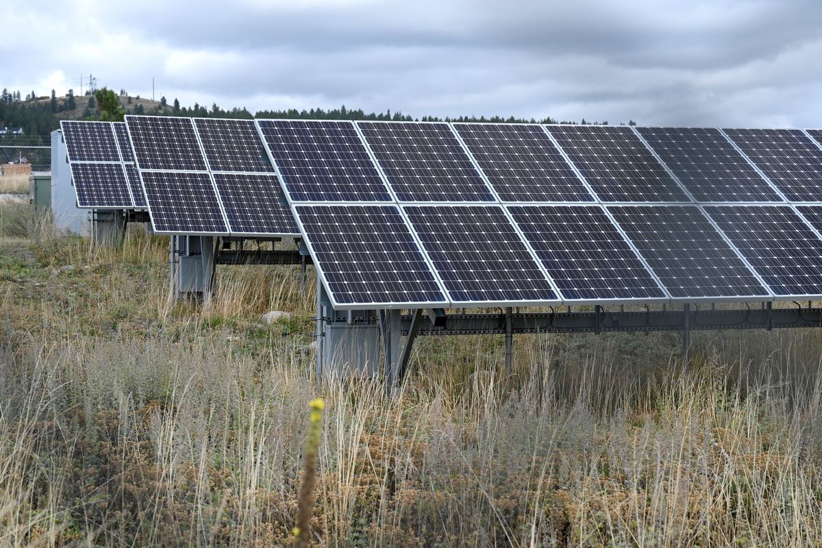 Ask Dr. Universe: Solar panels use sunlight to create electricity