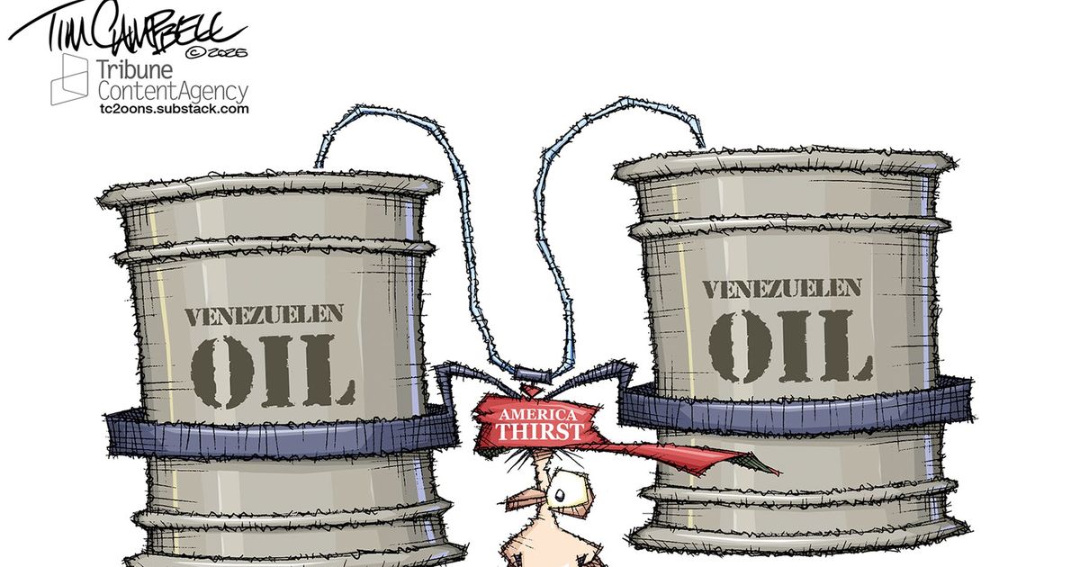 Tim Campbell cartoon