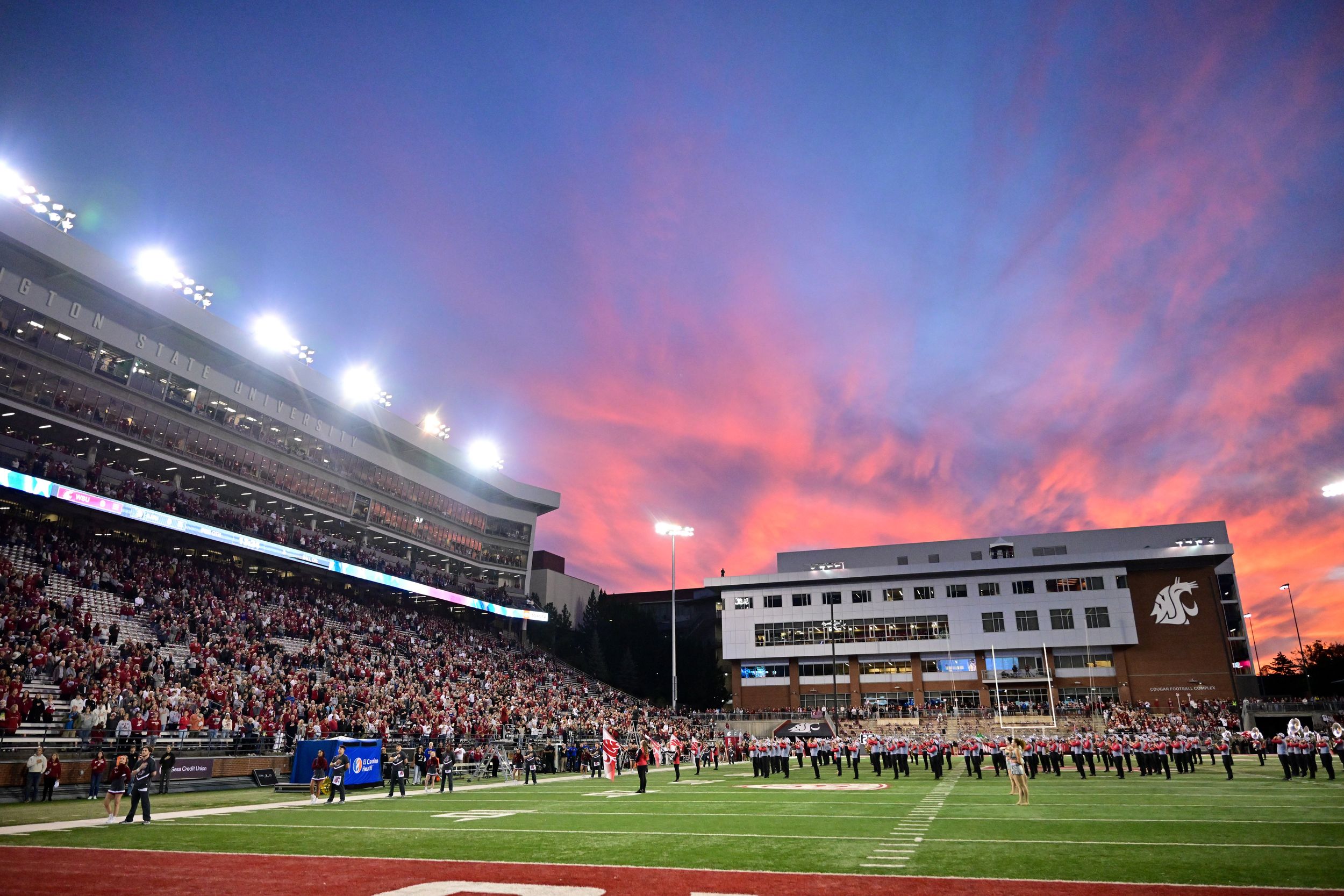 WSU AD Anne McCoy issues statement as new revenue-sharing era dawns in ...