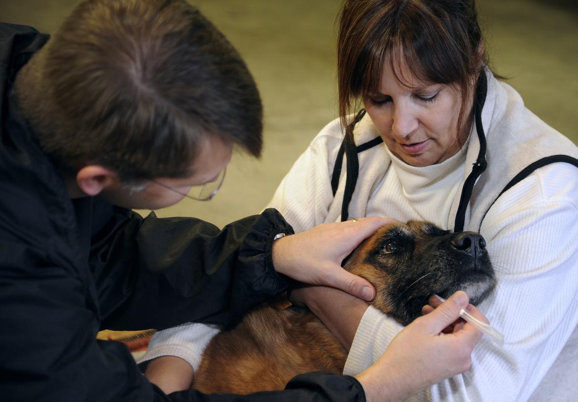 Genomics entrepreneur Lisa Shaffer opens DNA center for dogs