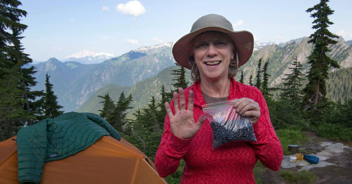 Huckleberry Haiku celebrates year’s bumper crop | The Spokesman-Review