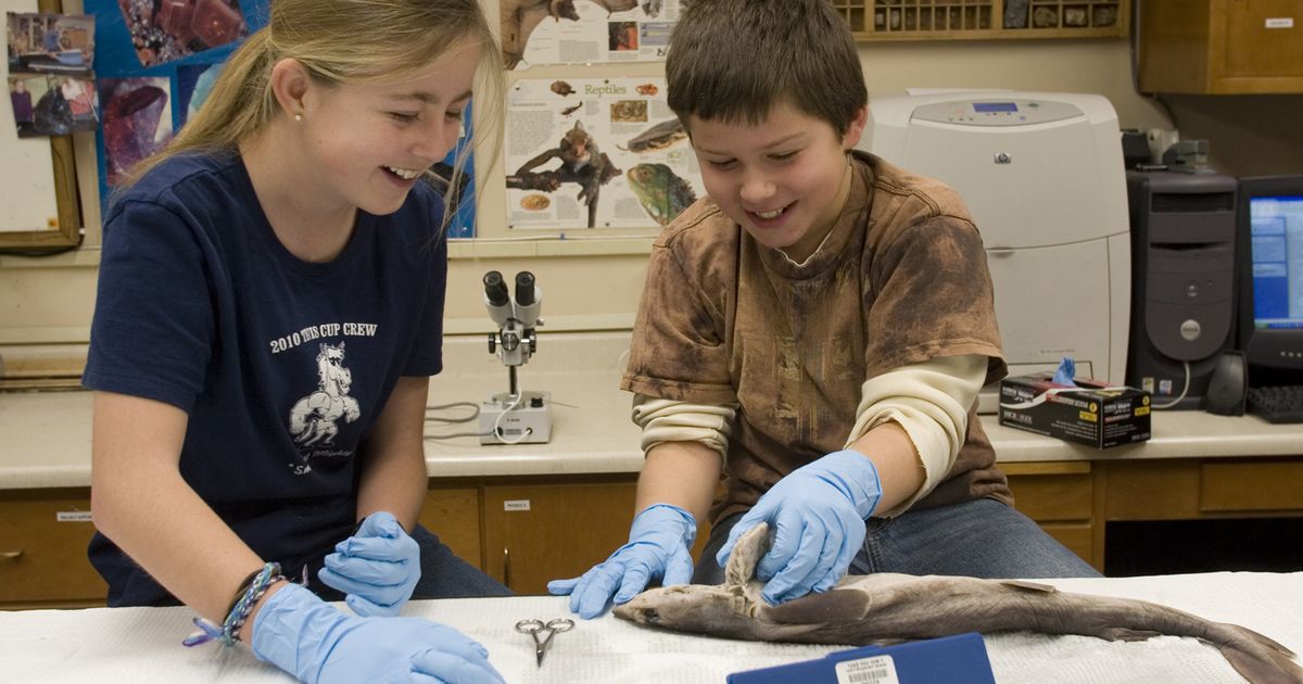Oceanography teacher ‘brings textbooks to life’ | The Spokesman-Review