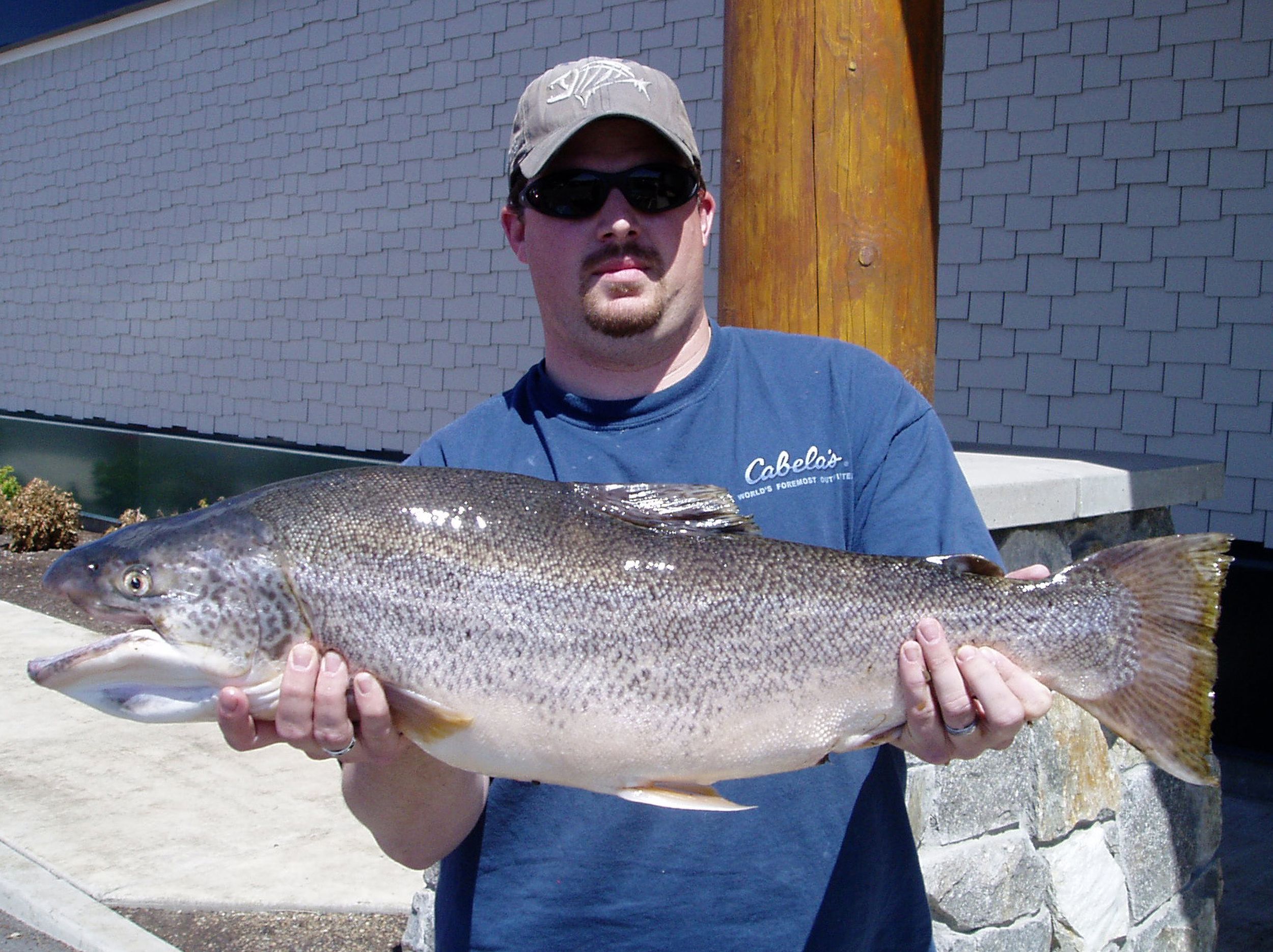 State-record tiger trout expected soon in Idaho