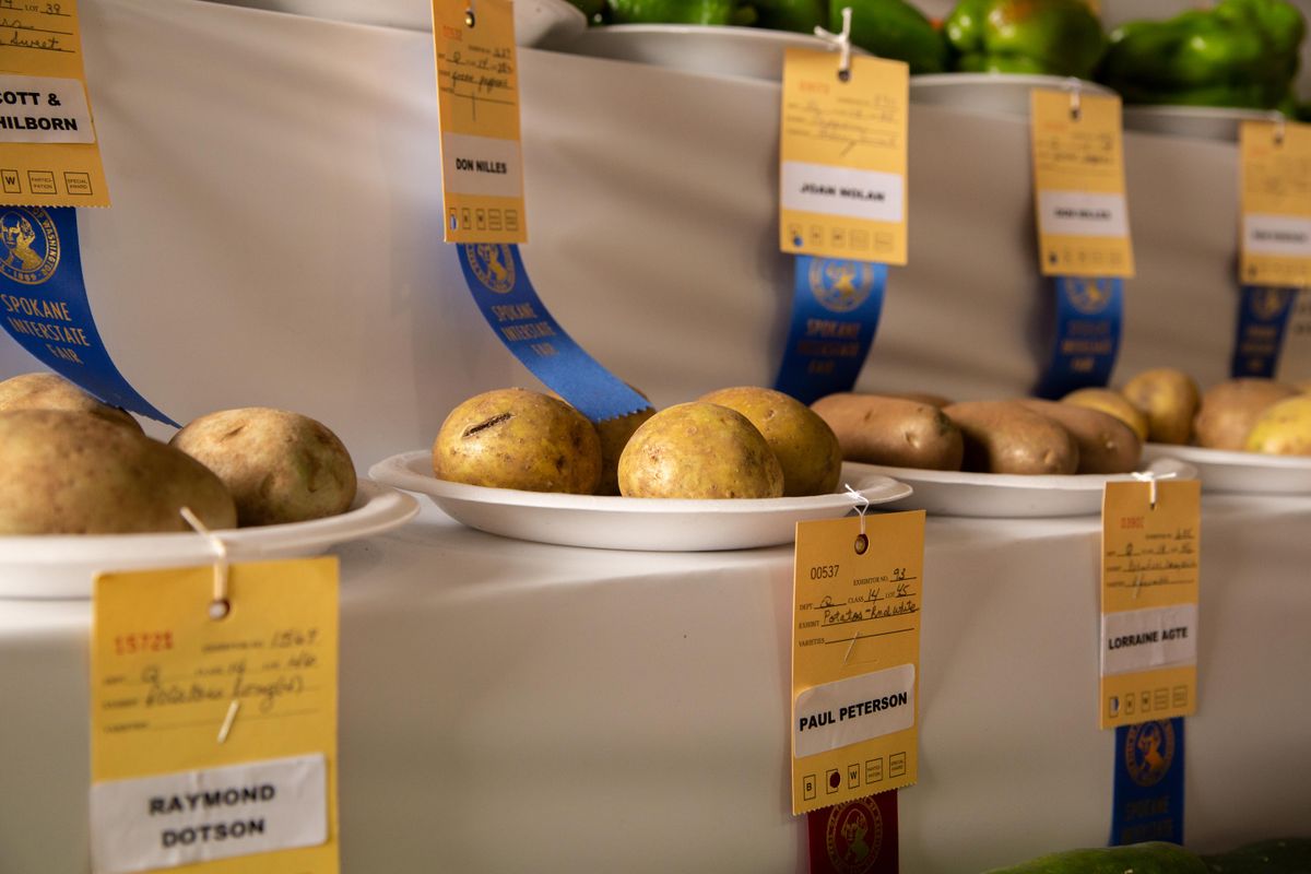 Judging food items at Spokane County Interstate Fair - Sept. 12, 2018 ...