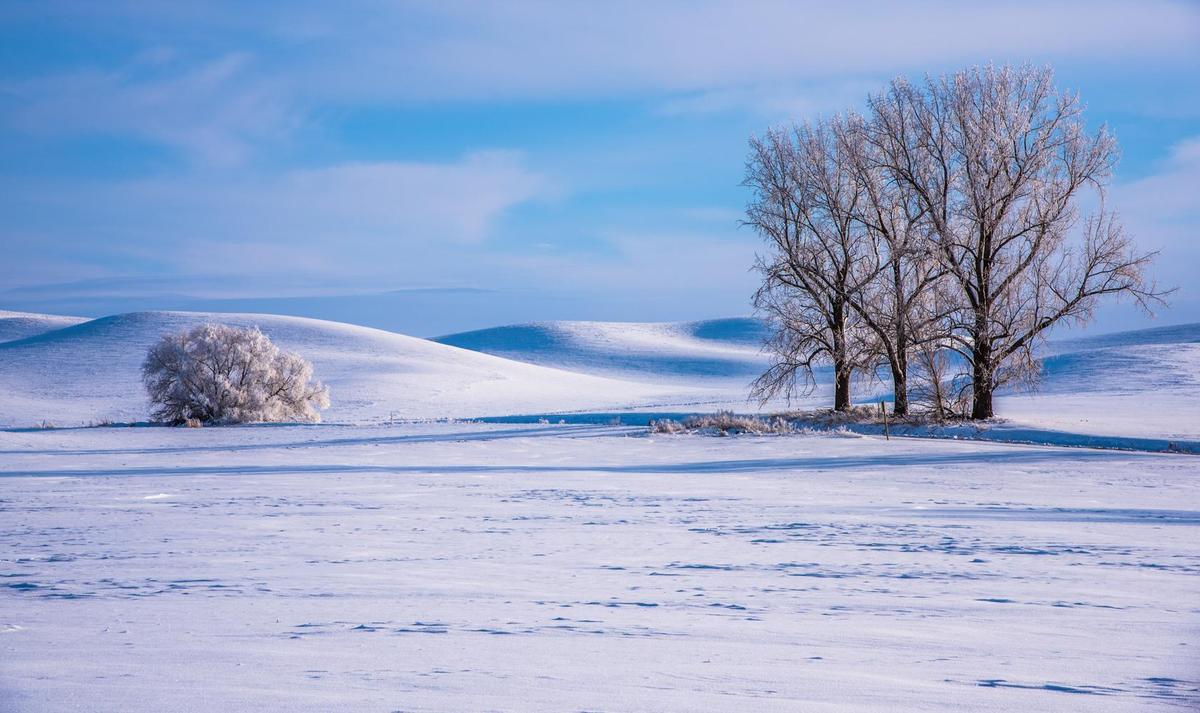 Boiler plate snow cover tough on wildlife | The Spokesman-Review